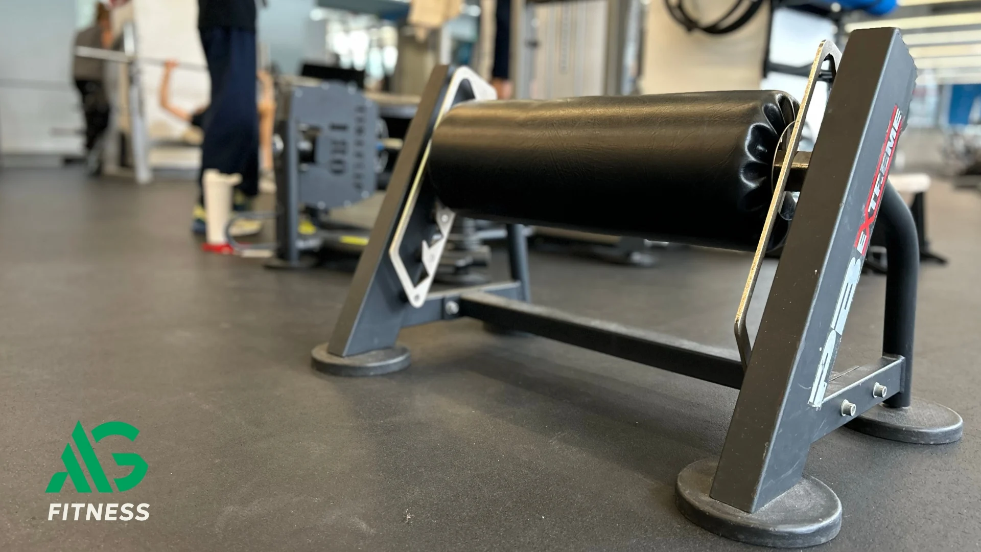 The Beginner’s Guide to the Split Squat Stand - Asphalt Green